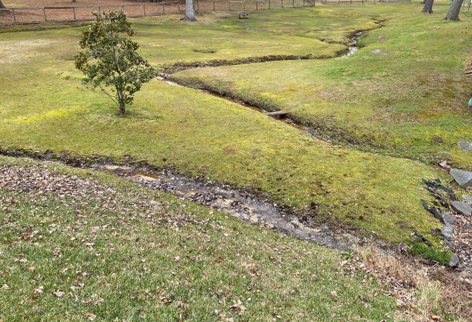 Nature-Based Solutions for Resilient, Equitable Cities - Center for ...