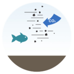 Carbon Dioxide Removal - Center for Climate and Energy SolutionsCenter ...