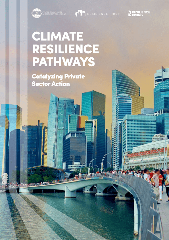 Climate Resilience Pathways: Catalyzing Private Sector Action - Center for Climate and Energy ...