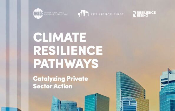 C2ES, Resilience Rising, and Resilience First Launch New Corporate Climate Resilience Pathways ...