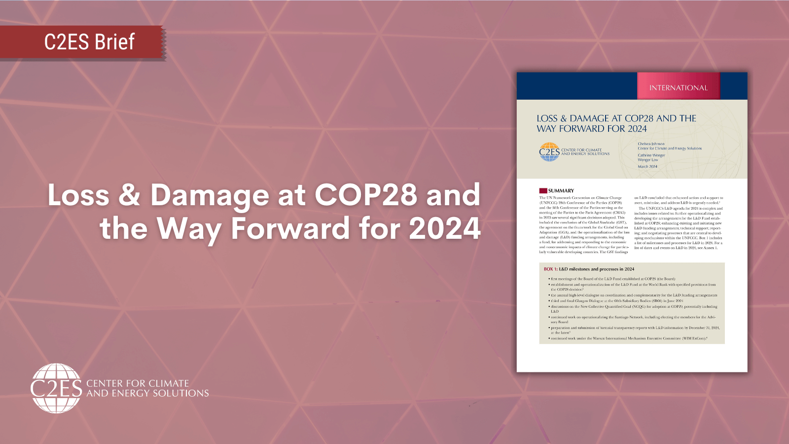 Loss and Damage at COP28 and the Way Forward for 2024 - Center for ...