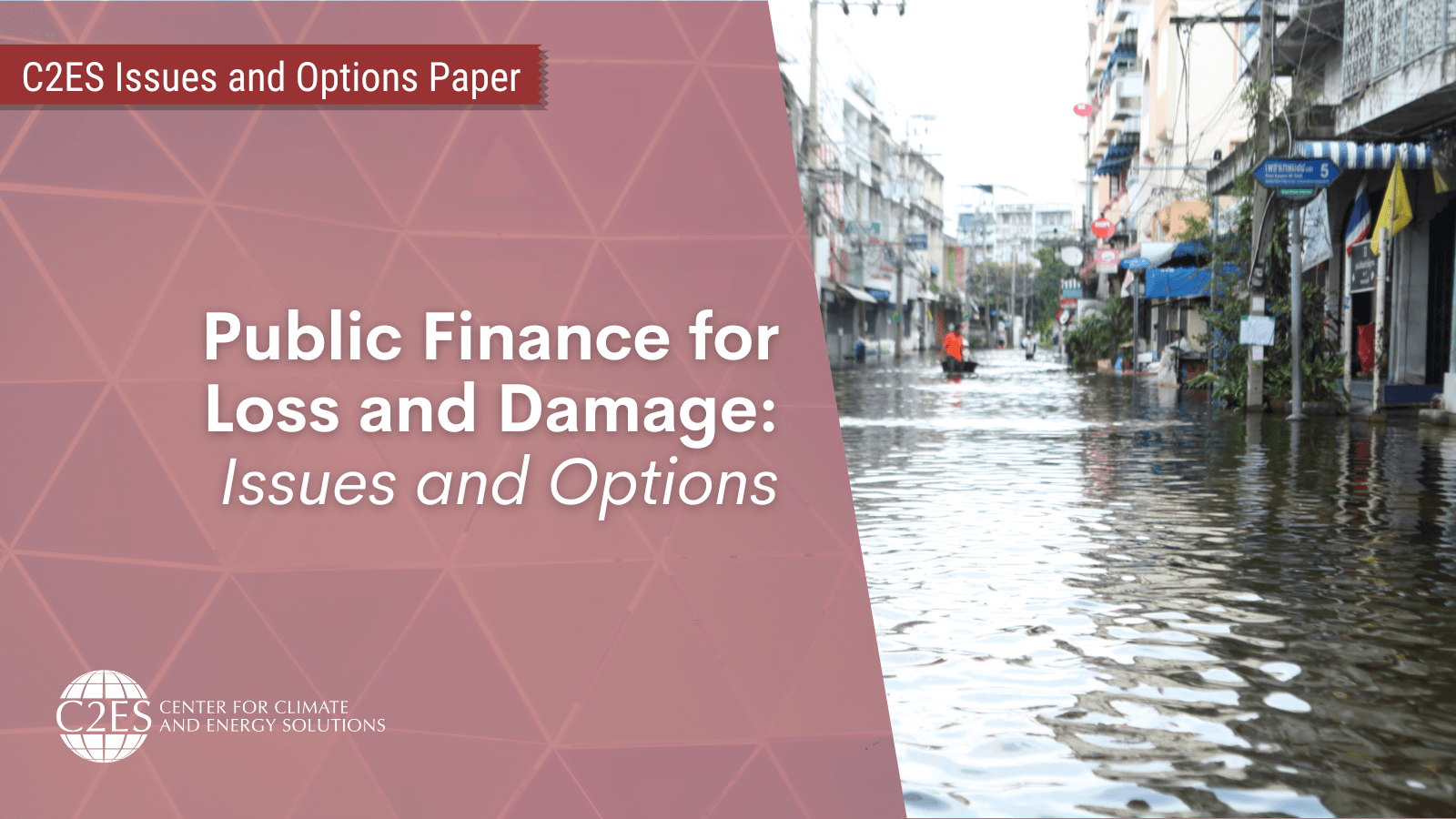 Public Sector Finance for Loss and Damage: Issues and Options - Center ...
