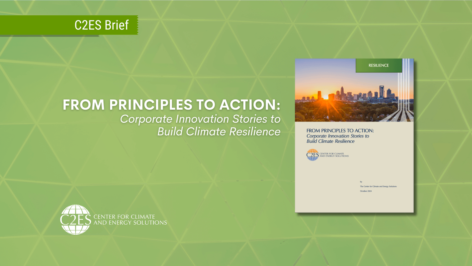 From Principles to Action: Corporate Innovation Stories to Build ...